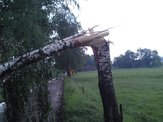 Informacje z Warmii i Mazur Olsztyn - Aktualności - strona 267 ...